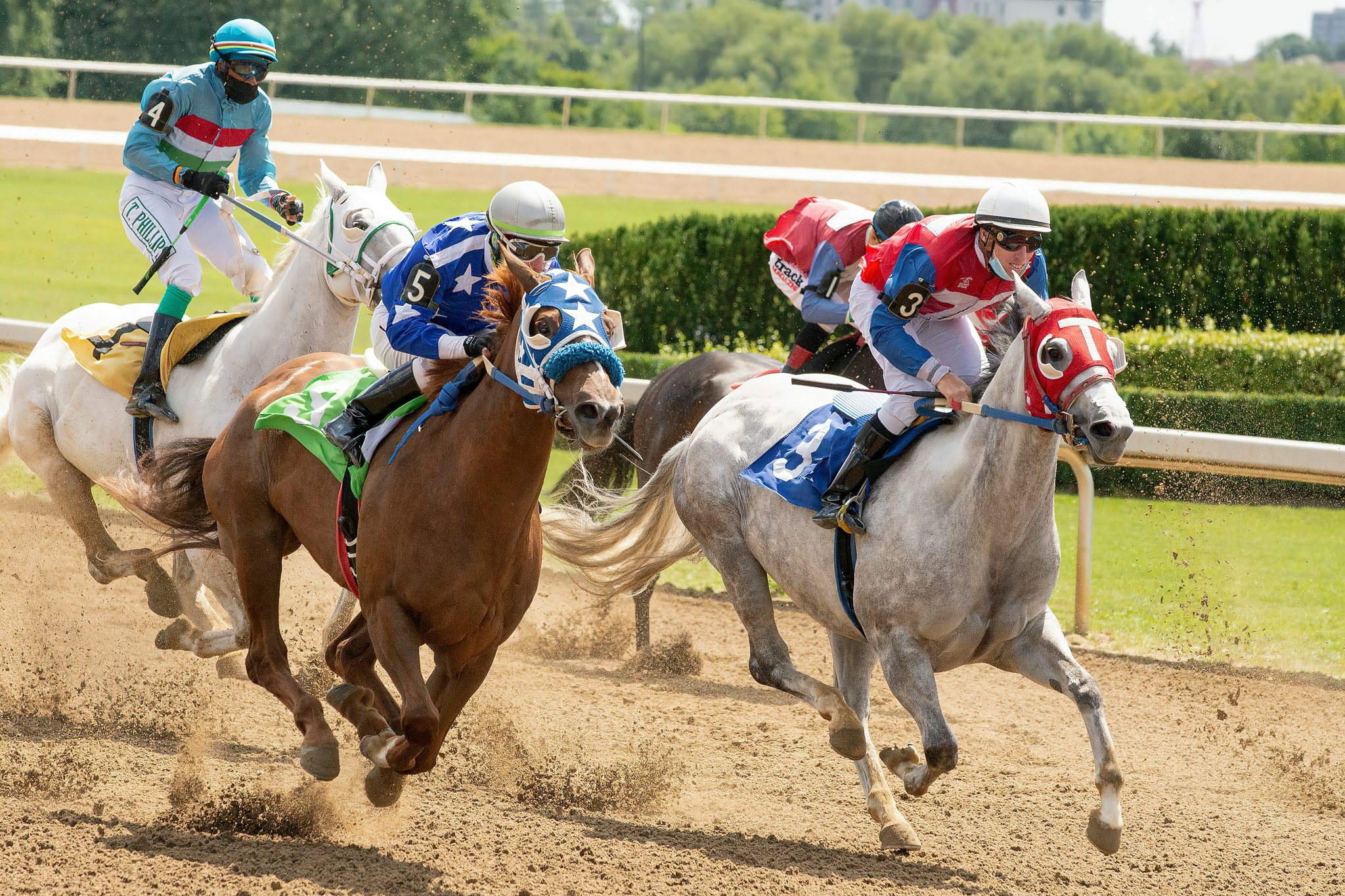 How to Use Horse Racing Data for Predictive Analysis - Horse Over